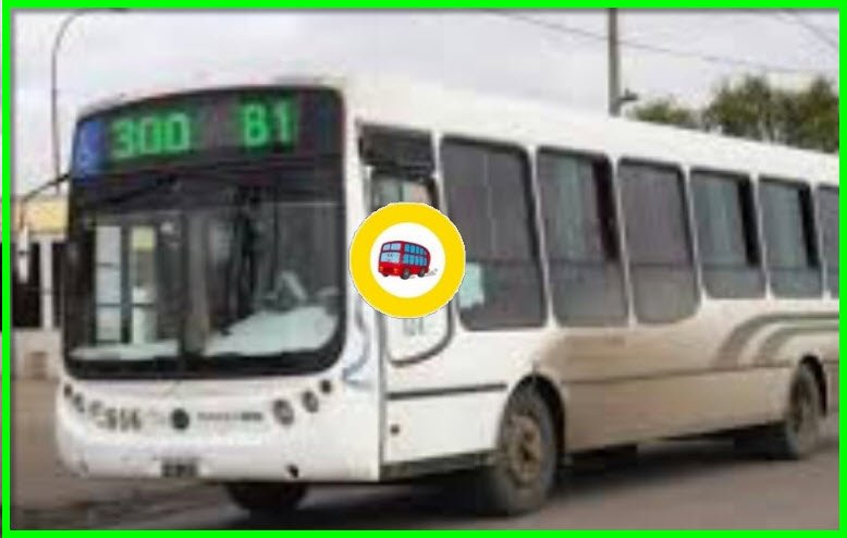 Líneas 201 a 300 【 Recorrido y horarios 】 【 Actual 2021